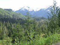 Dispatches from Camp Ketchikan: Ward Lake and Harriet Hunt Lake