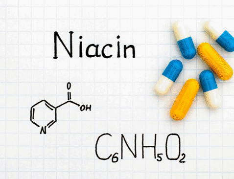 Niacin Weight Loss Pills: ‘Shred n Sculpt’ Your Body For Once & All