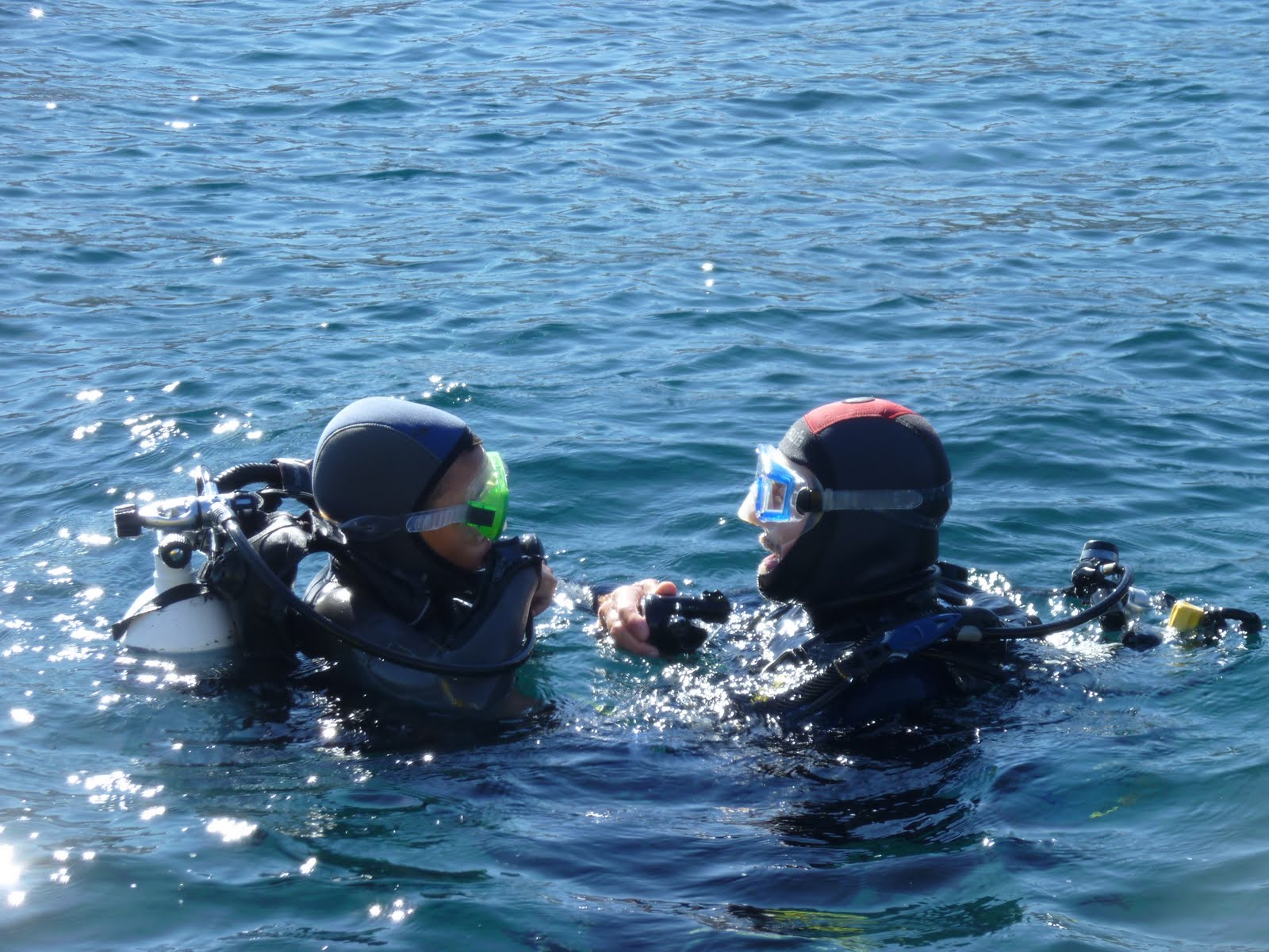 Koi2-9 ? Bienvenue sur le quoi de neuf de l'école!: plongée des CM2