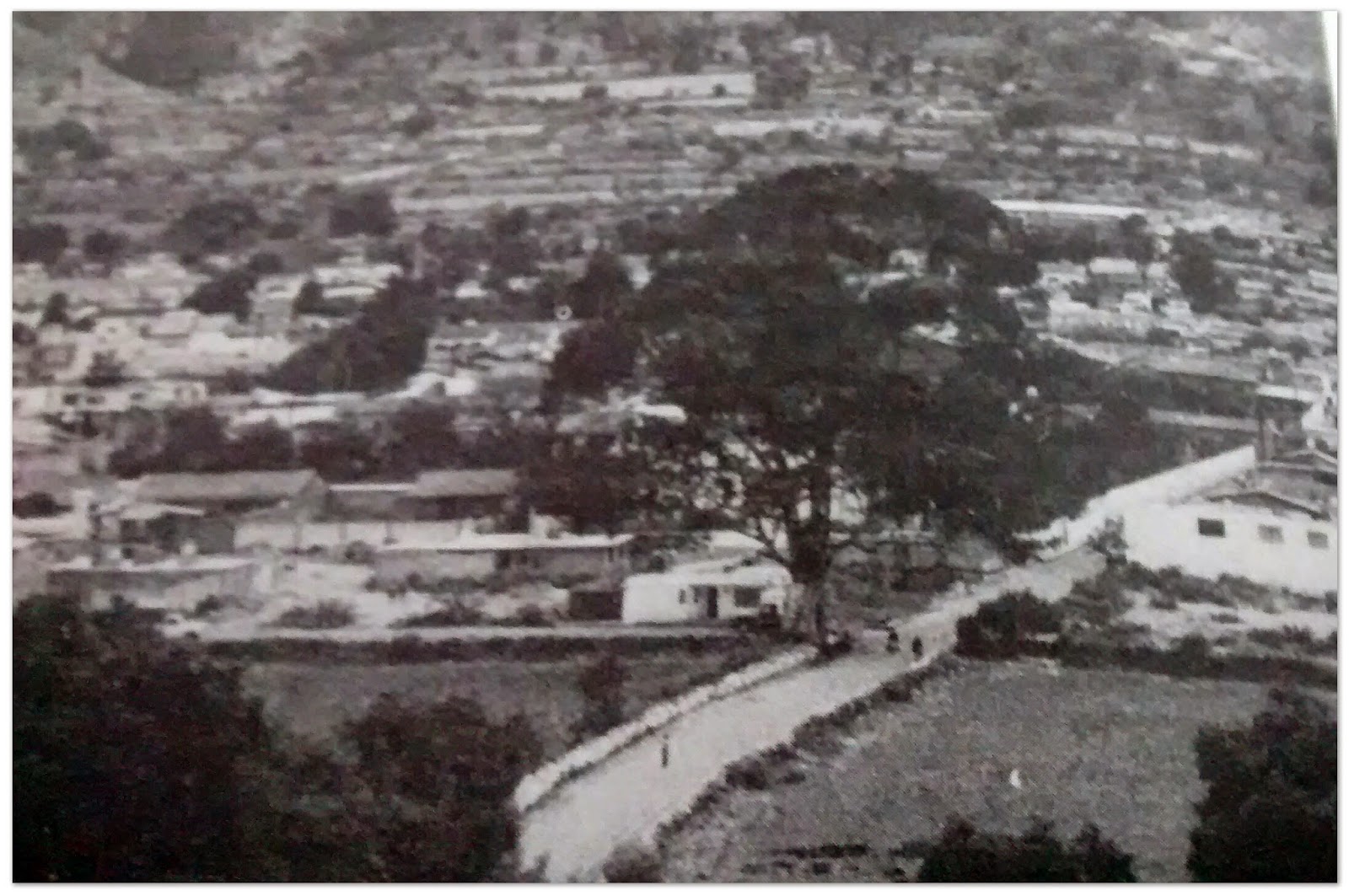 TEMASCALCINGO: HISTORIA DE TEMASCALCINGO