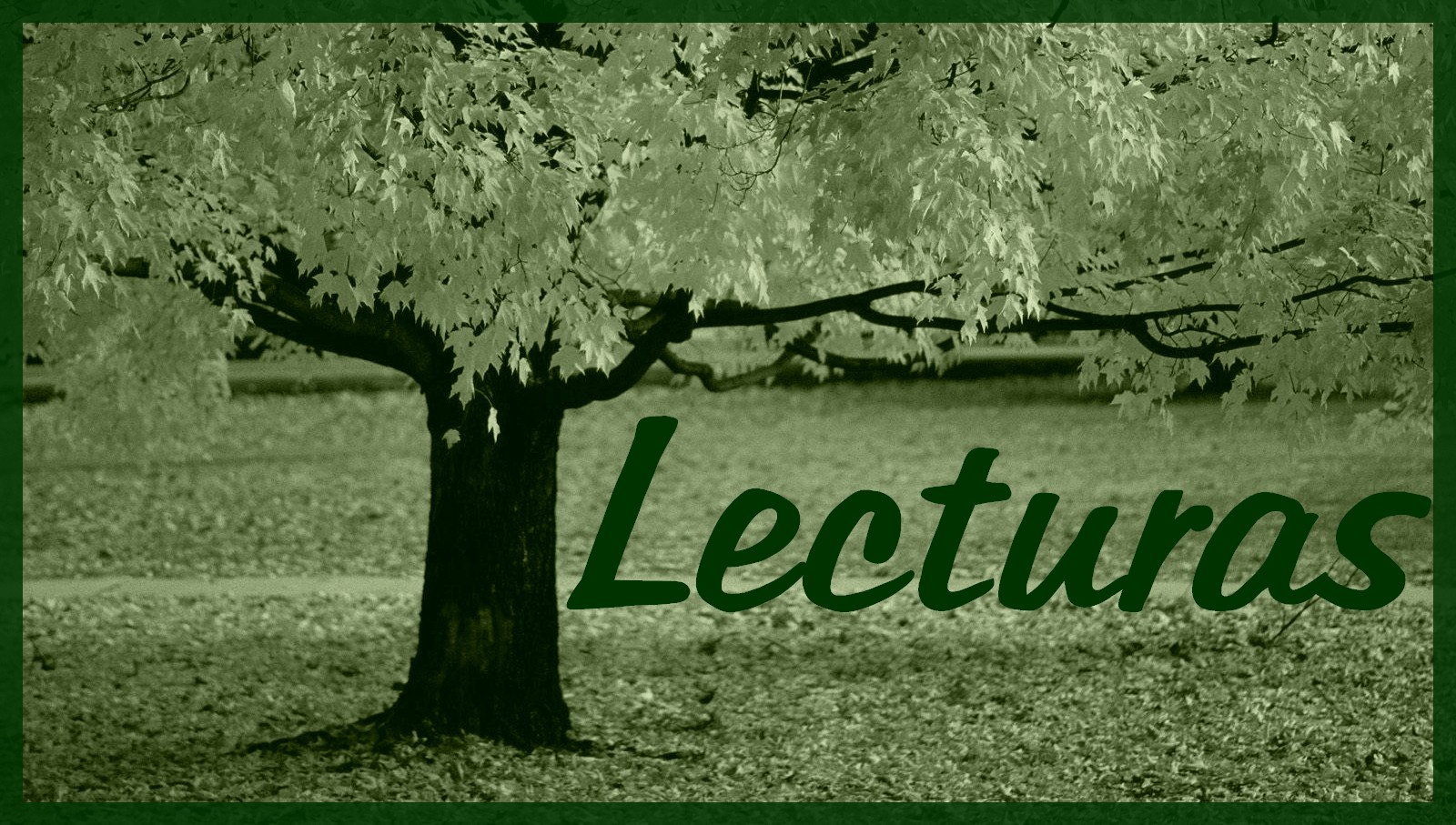 A doble altura: Lecturas