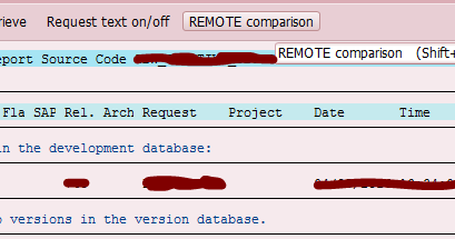All about SAP: Version Management