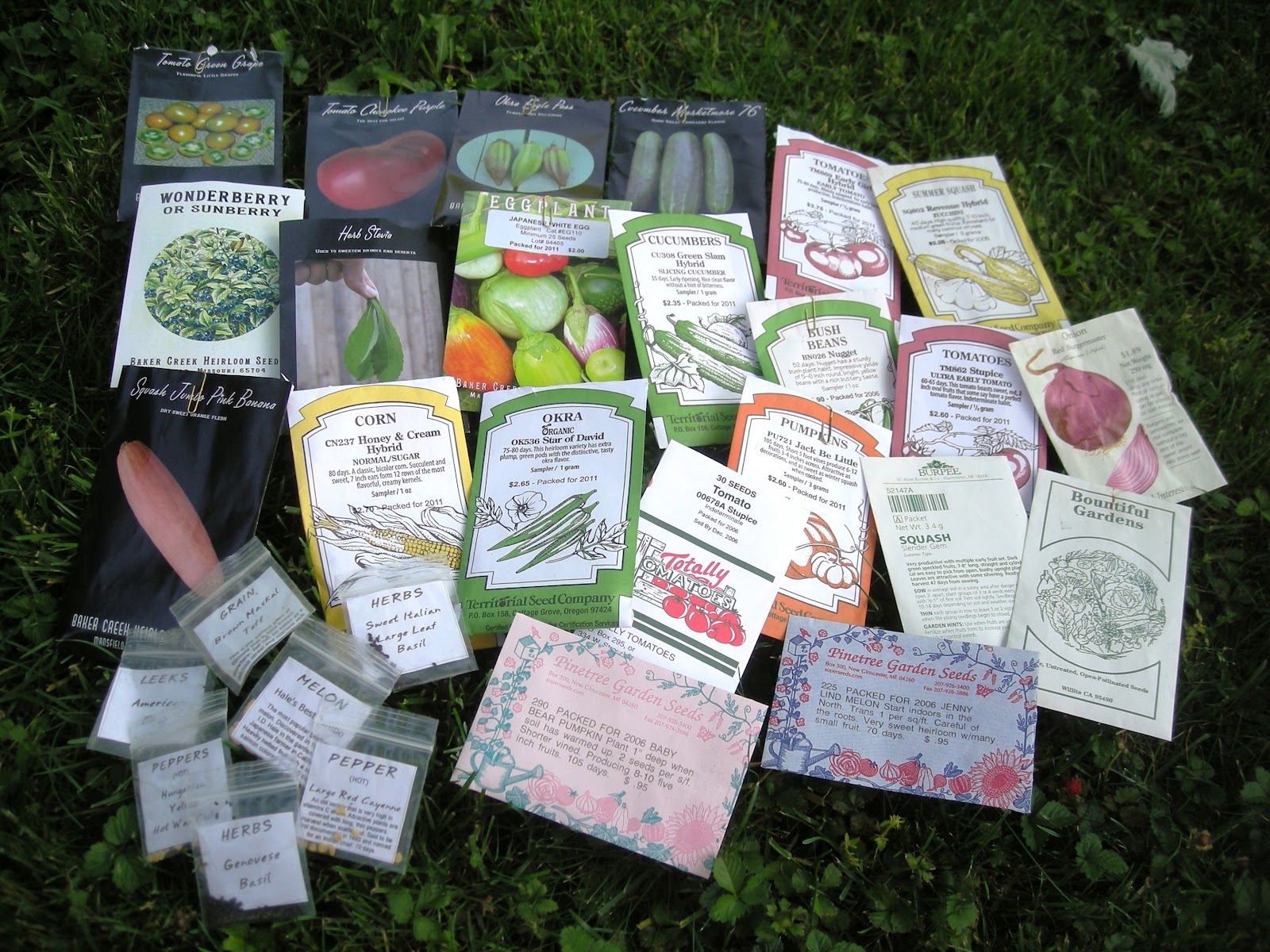 Laure's Gardens: Supporting Seed Companies that take The Safe Seed Pledge