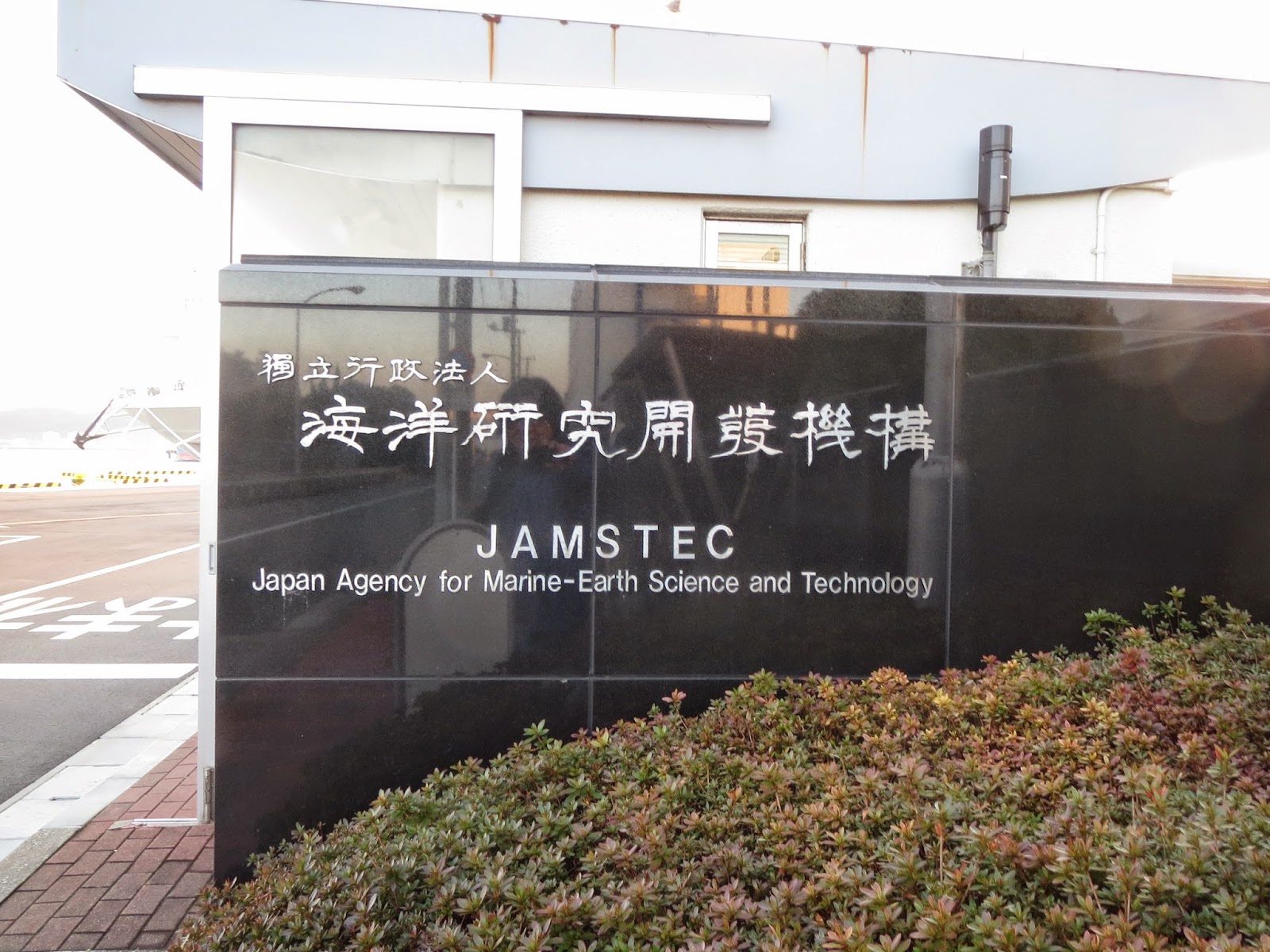 The Echinoblog: Echinoblog In Japan 2015: A Visit to JAMSTEC!!