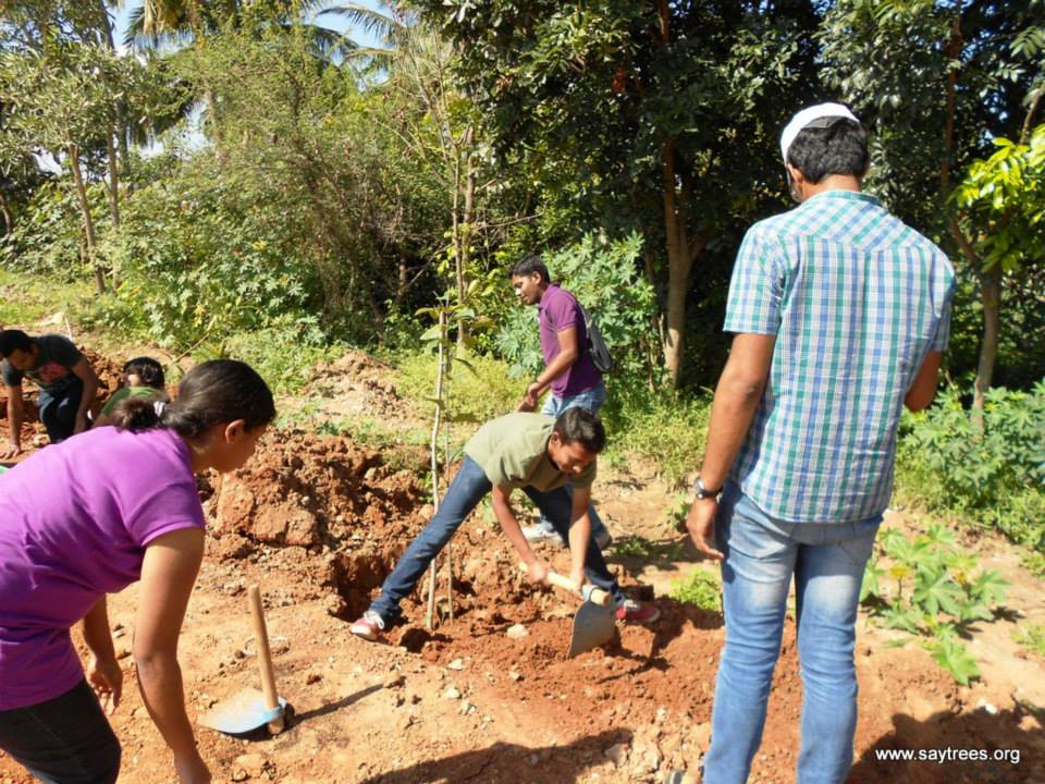 BTC Go Green Sapling Plantation at Jakkur Lake - Bangalore Trekking Club®