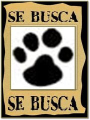 ZAGUATES Y MISINGOS: TEMAS ANTERIORES