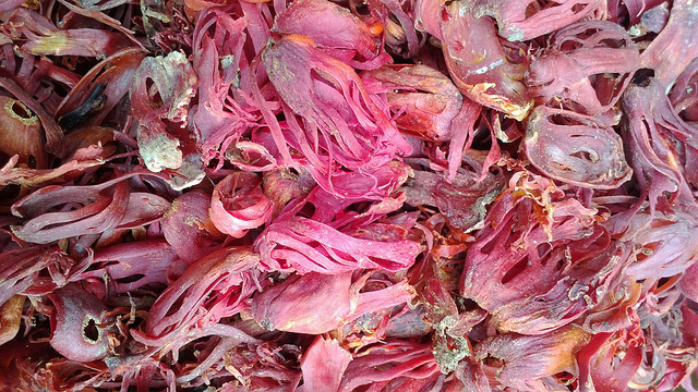 MACE: properties, health benefits, uses and contraindications - Health ...