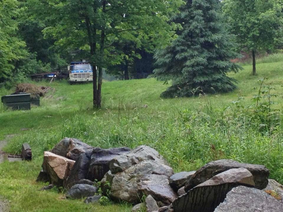 New Bigfoot Sighting Report From New Hampshire! ~ The Crypto Crew