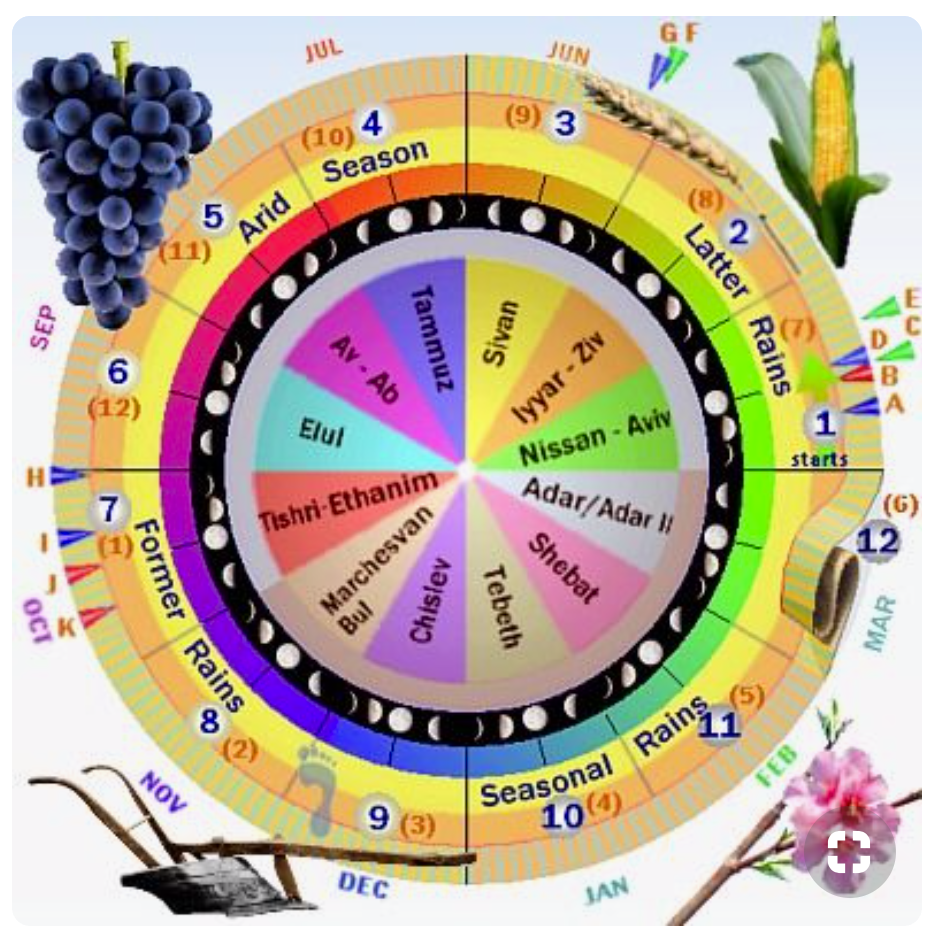 God's Appointed Times: What's on God's Calendar?