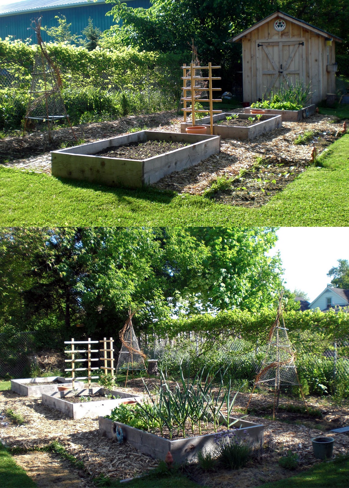 The Violet Fern: Potager (Kitchen Garden)
