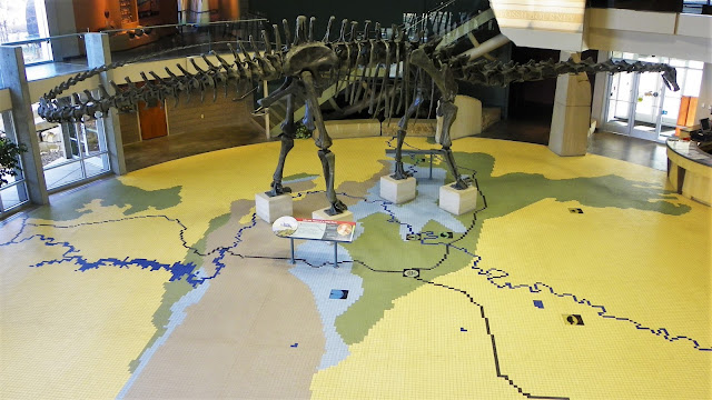 BONE ROOMS: April 2017