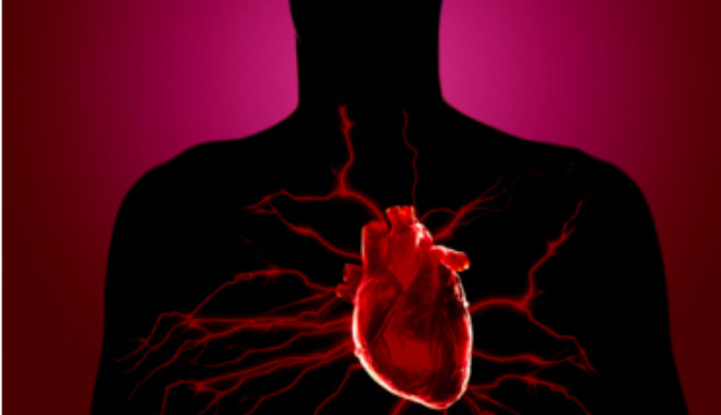 Mengenal Penyakit Kardiovaskular
