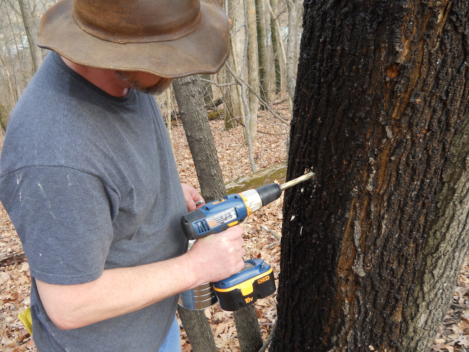 World Bird Sanctuary: World Bird Sanctuary hosts a maple syrup cookdown!