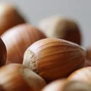 SevyTaliban: Ex-Adventist Cults: Christopher Hudson of ForeRunner ...