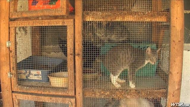 Four legged friends (and enemies): Napier's Animal Sanctuary: 300 ...