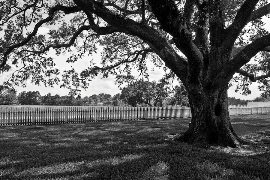 Grace Unit 1 Photography: Defintion Post - Tone