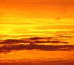 Arthemis Blog: Portocaliu