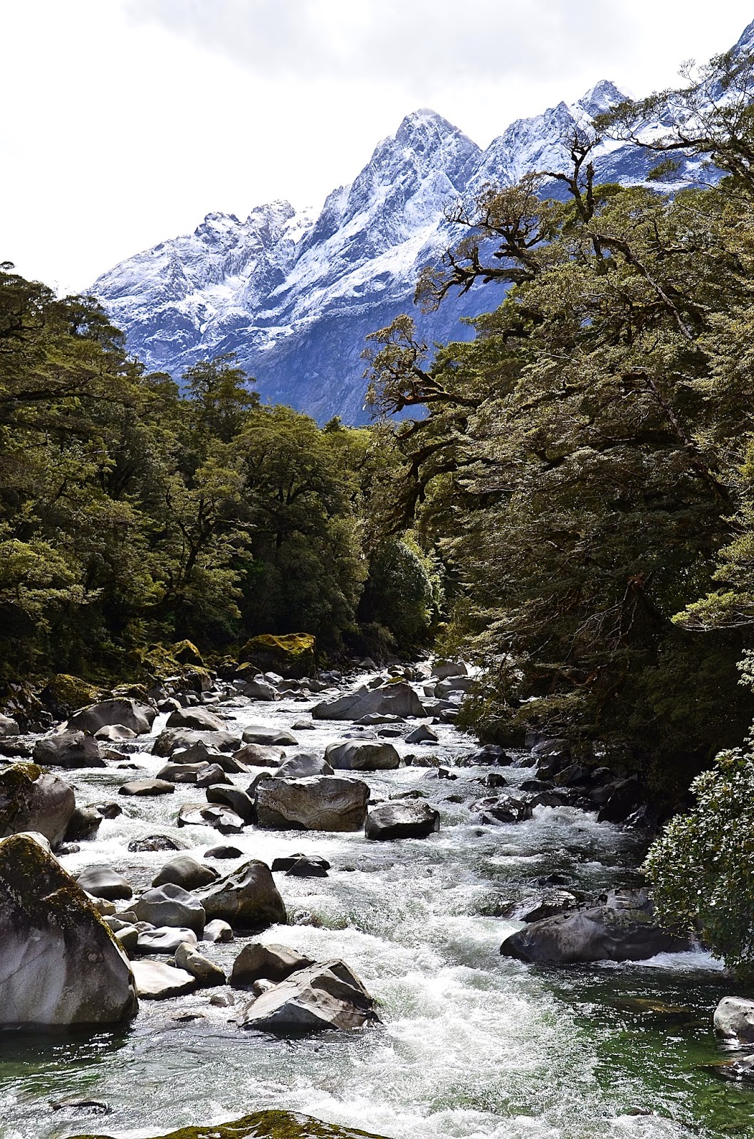 bwisegardening: Grief Is A River