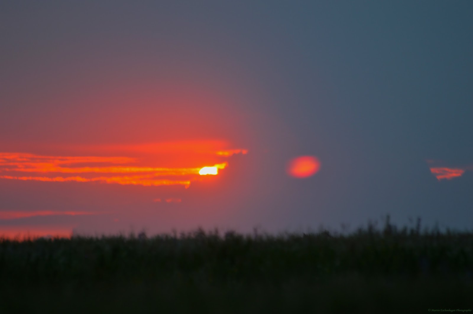Martin Eschenhagen Photographie: Berlin vom Drachenberg aus
