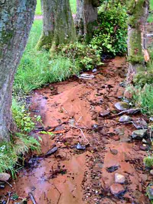 Disasters Geohazards Mapping Summit: The Perennial Problem of Siltation ...