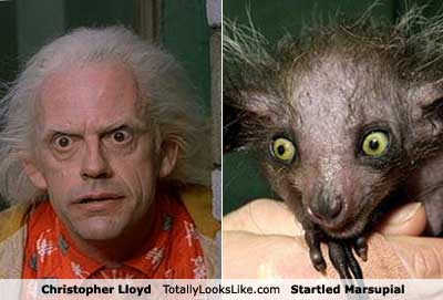 Funny Animals Look Like People | In Photos | Funny And Cute Animals