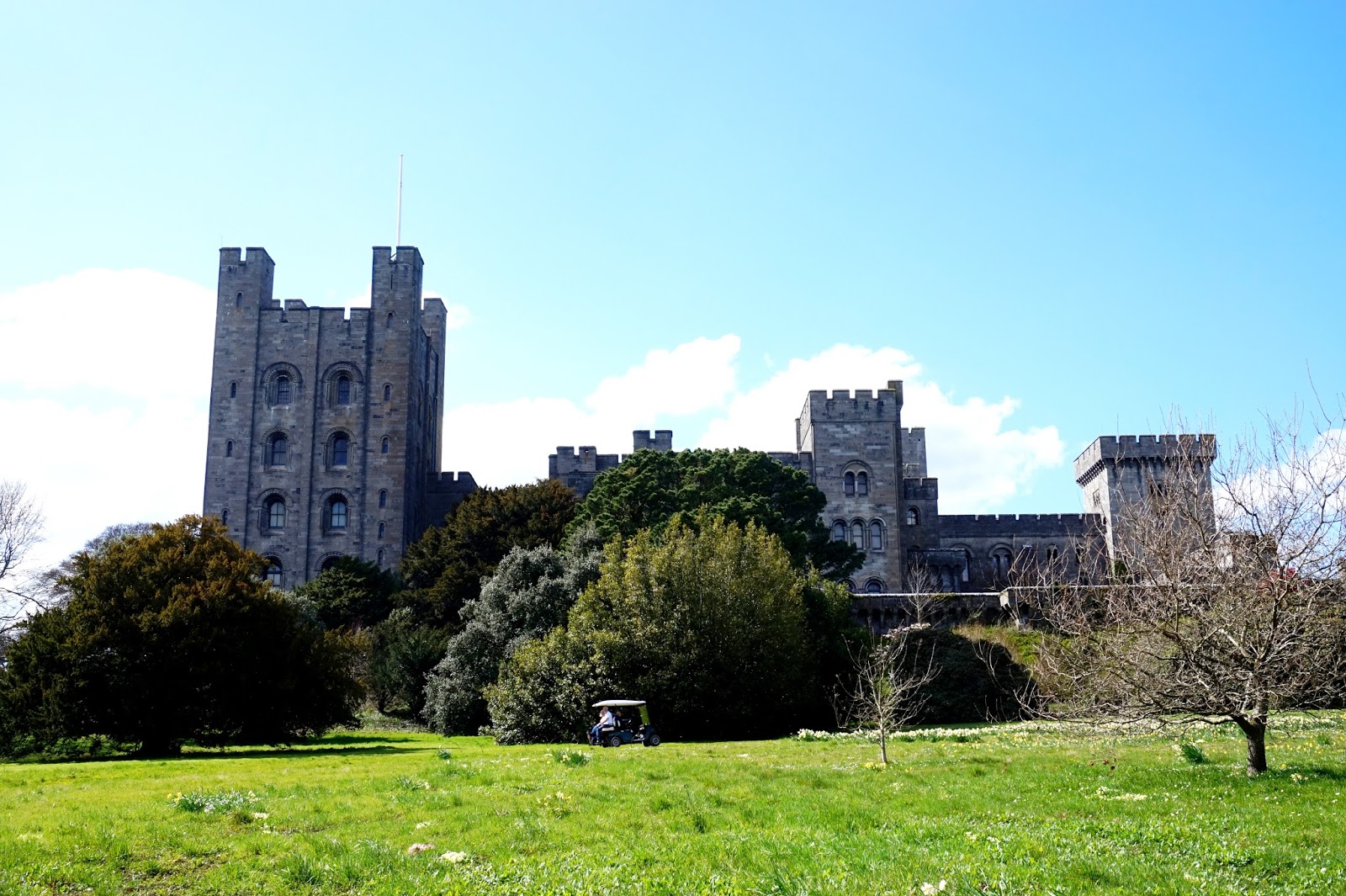 Little Adventure at Penrhyn Castle | Beth Owen