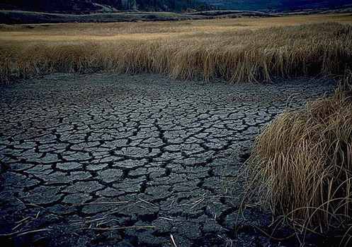 What is Drought ~ Disaster