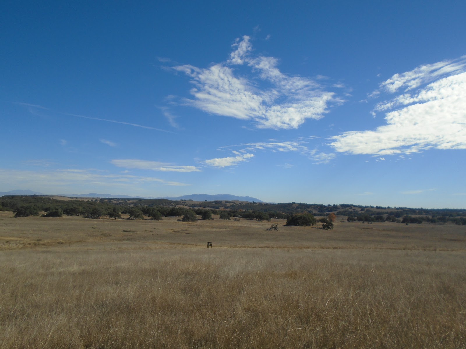 Source and Summit Hikes: Sylvan Meadows Loop: Santa Rosa Plateau