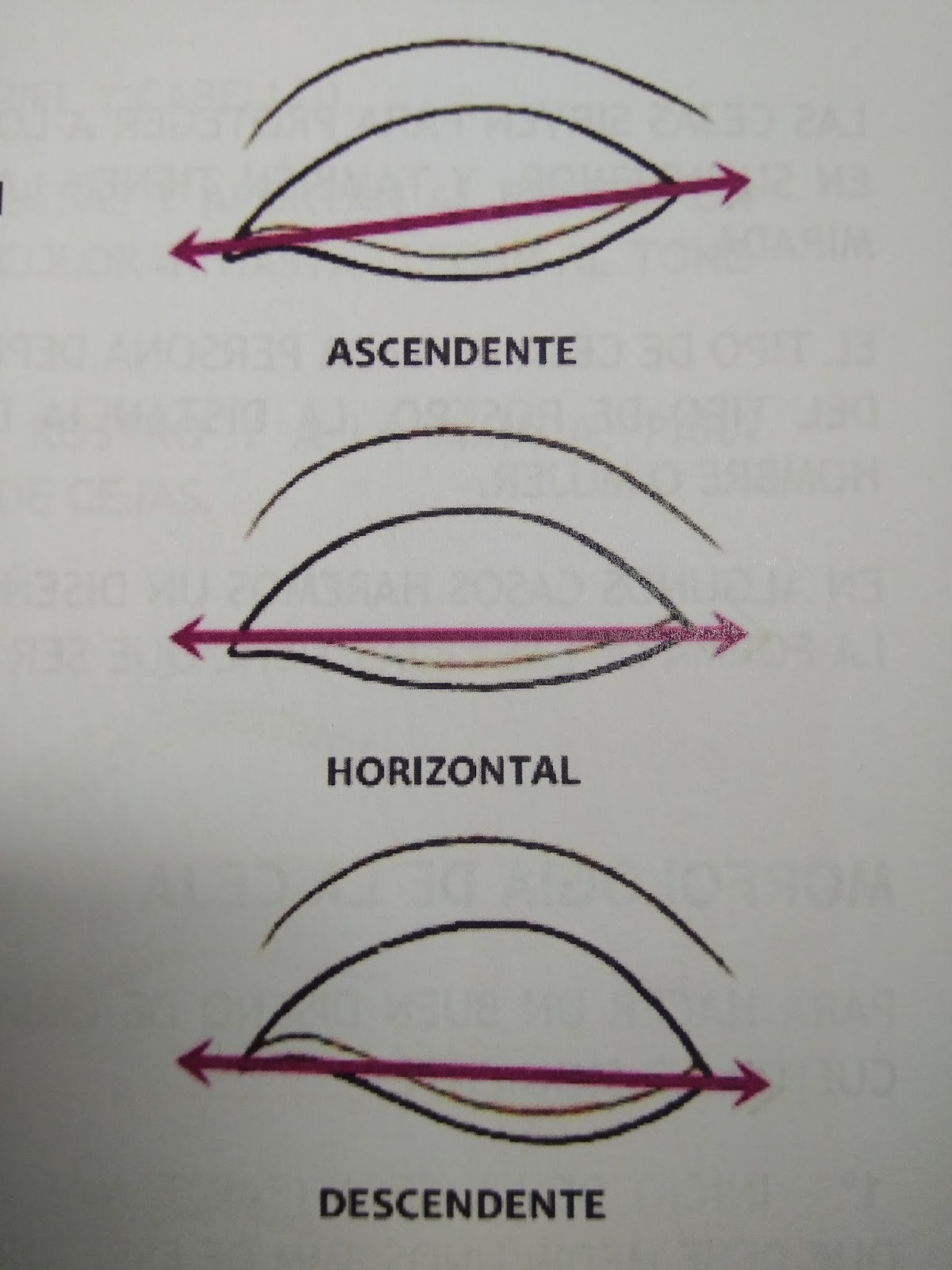 Tipos de ojos y sus correcciones