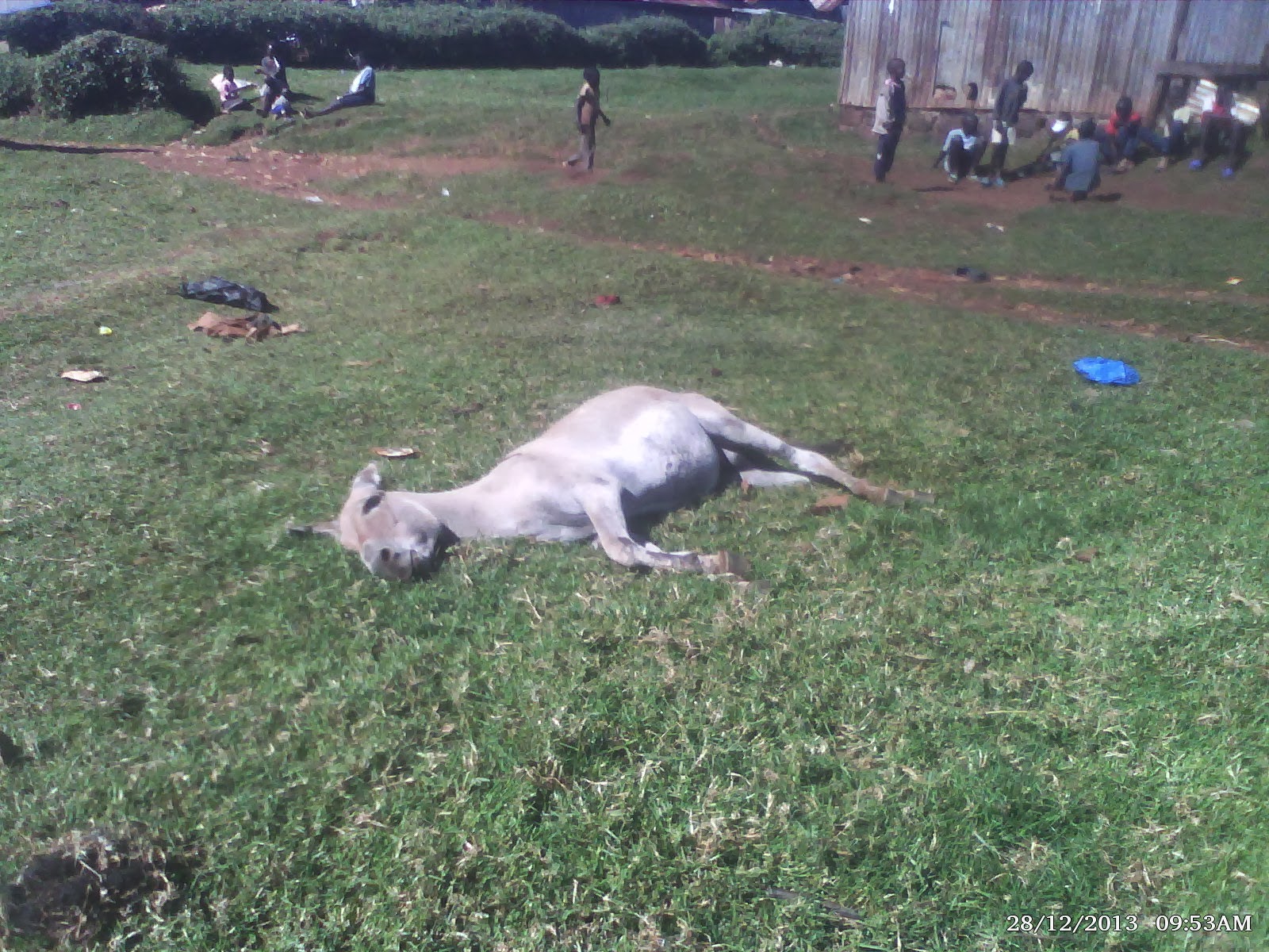 MEGAPHONE PHOTOGRAPHERS: December 2013