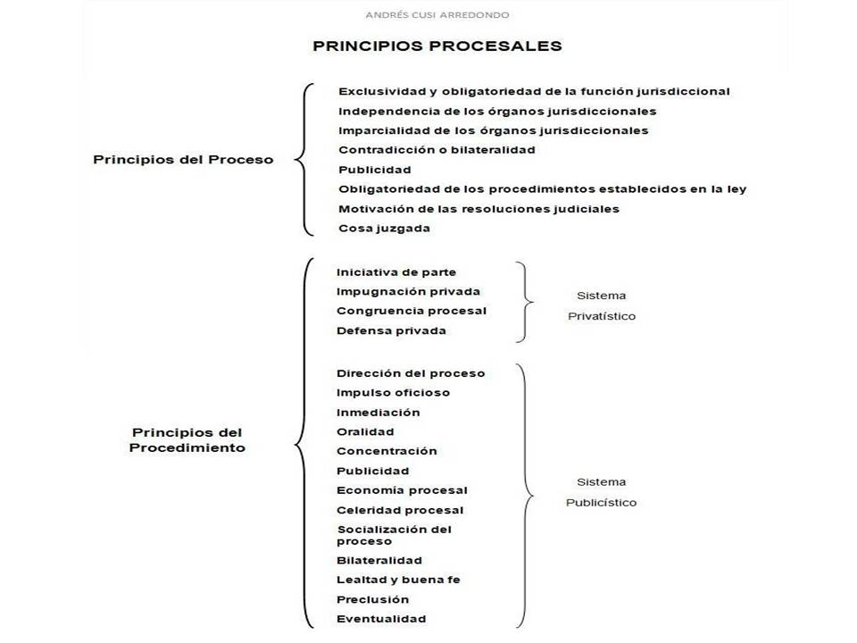 Andrés Eduardo Cusi Arredondo: LOS PRINCIPIOS PROCESALES - ANDRÉS CUSI ...