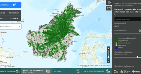 Maps Mania: Mapping Borneo's Deforestation Disaster