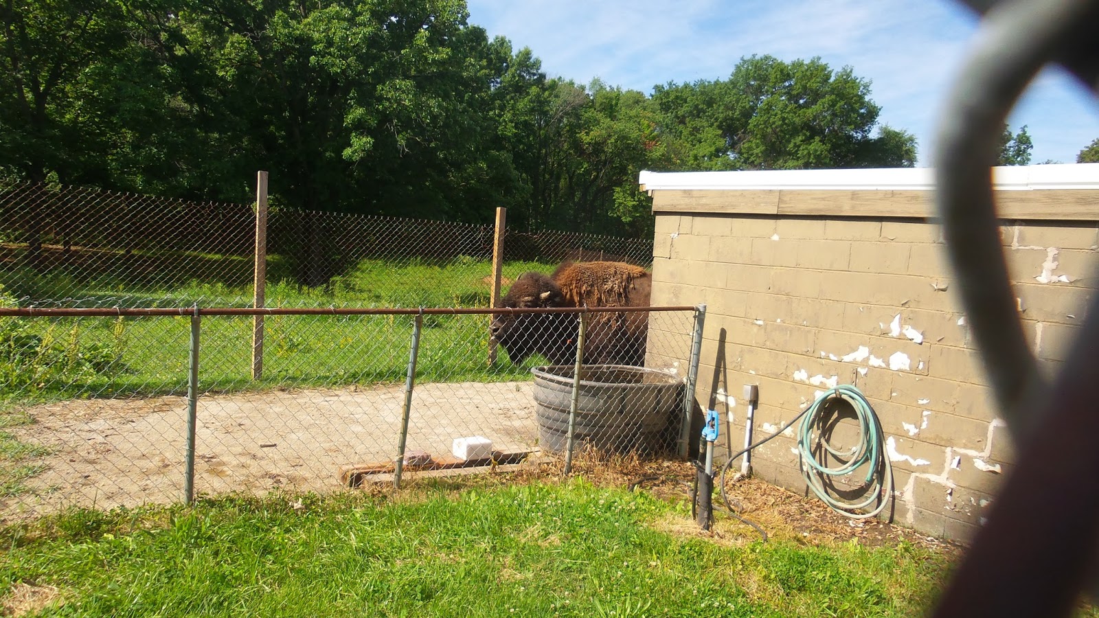 Hike Starved Rock: Buffalo Rock State Park 06-02-2016