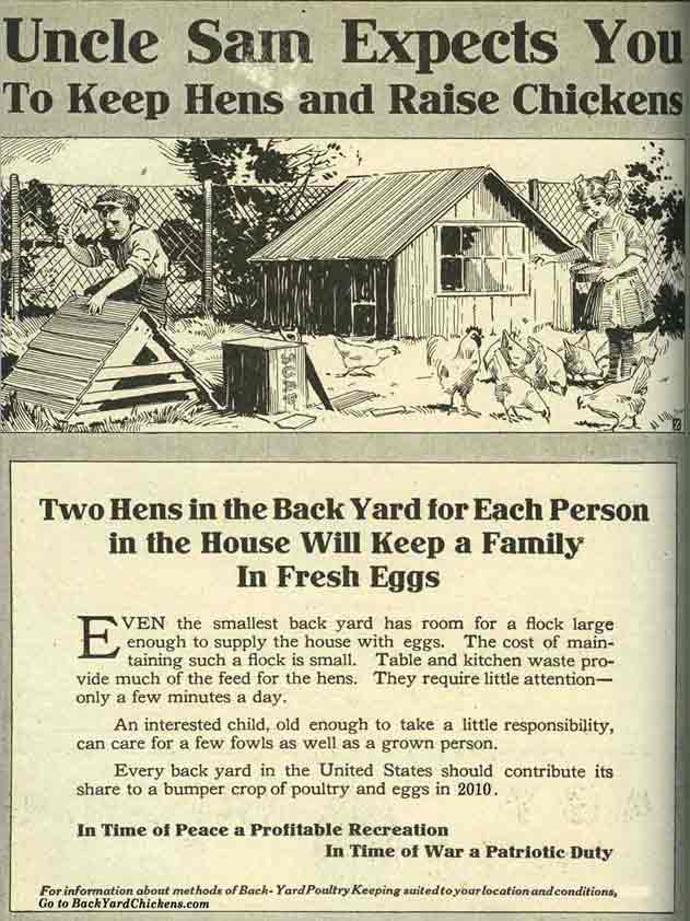 Wet Hen, LLC: Uncle Sam Expects You To Keep Hens and Raise Chickens