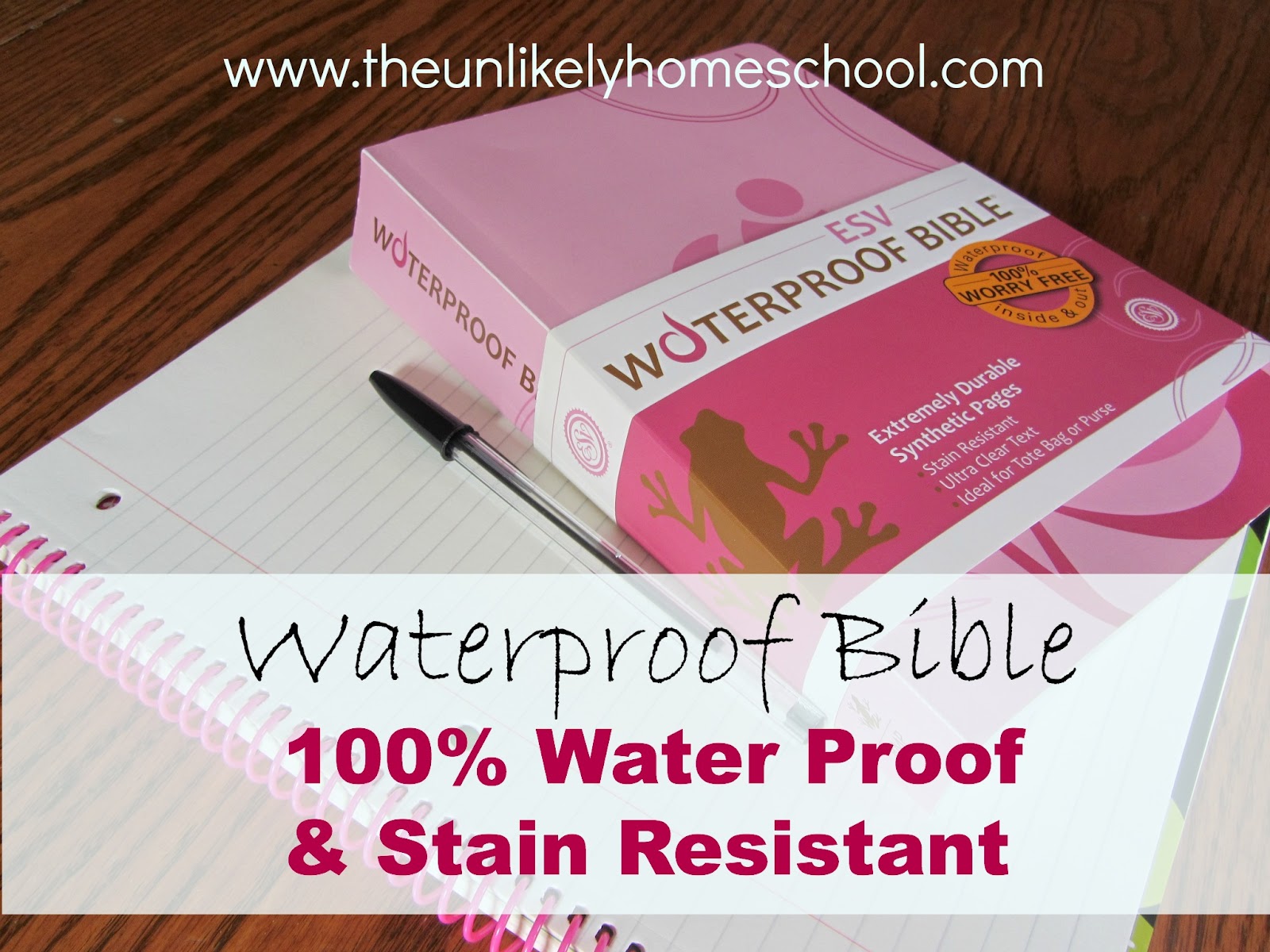 The Unlikely Homeschool: Waterproof Bible Review