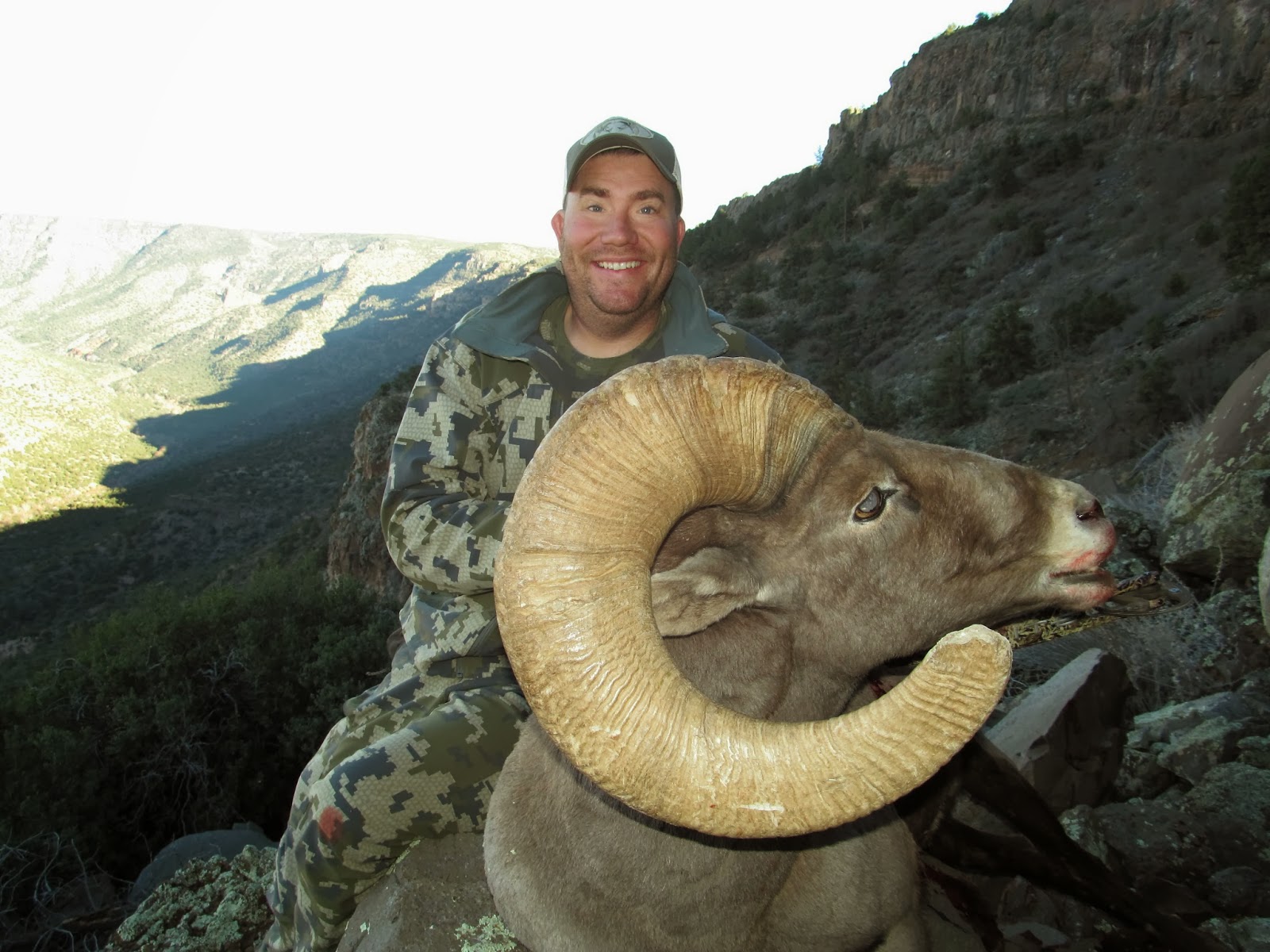 Colburn and Scott Outfitters: Brian Rimsza's AZ Rocky Mtn Sheep Unit 6A