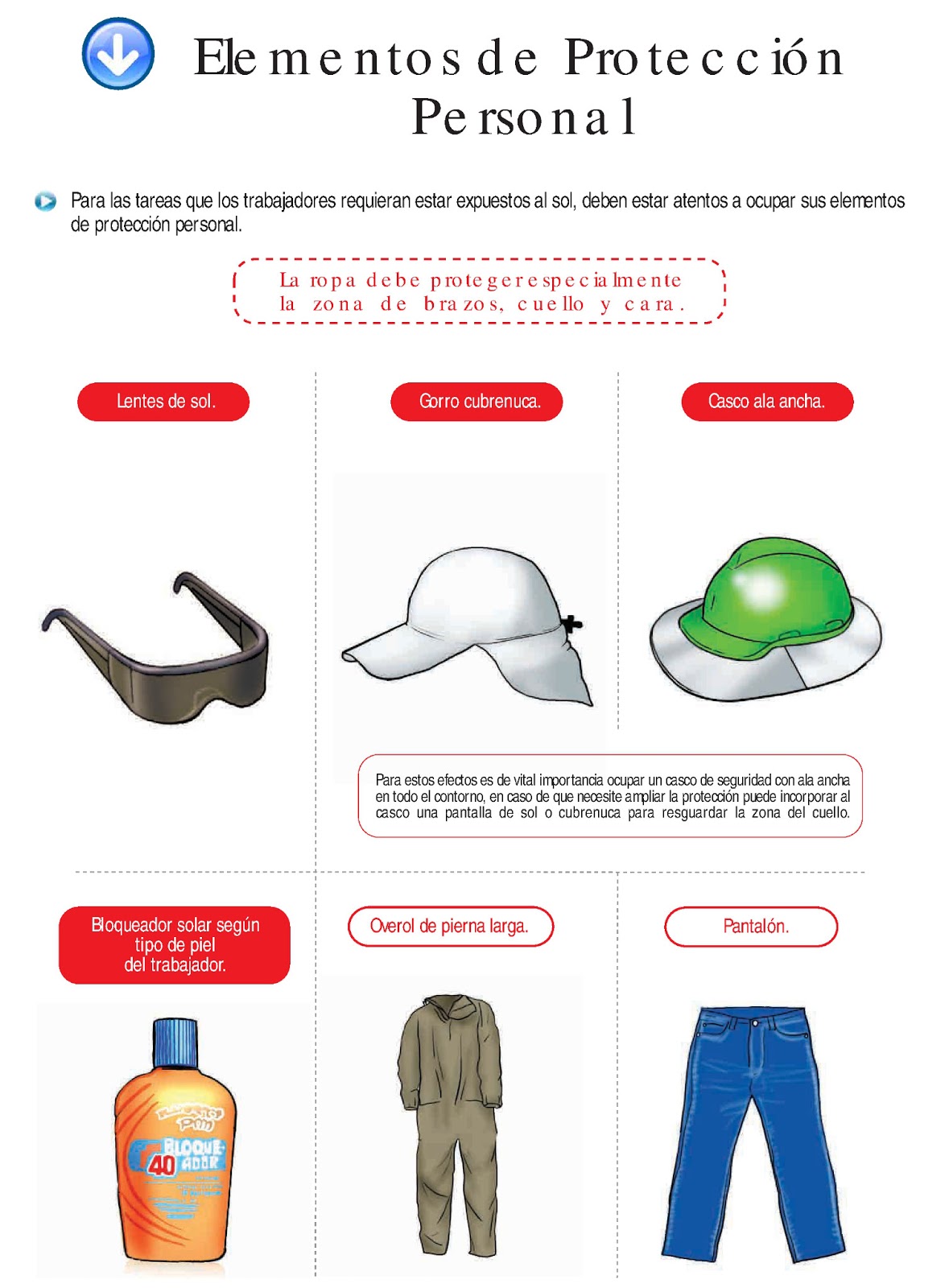 Comité Paritario INIA La Platina: Campaña prevención exposición ...