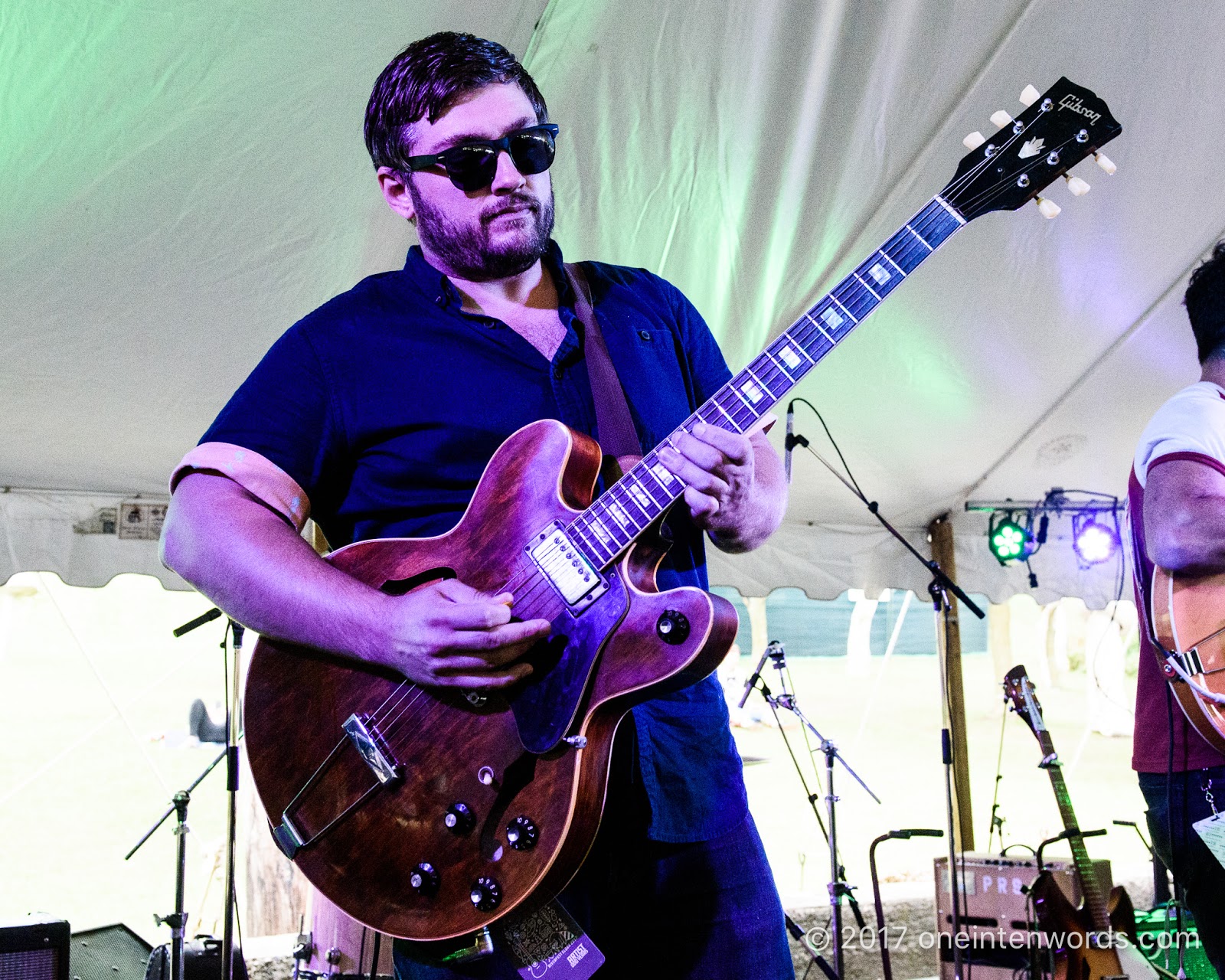 one in ten words: Riverfest Elora 2017: Odd Years - Concert Pictures