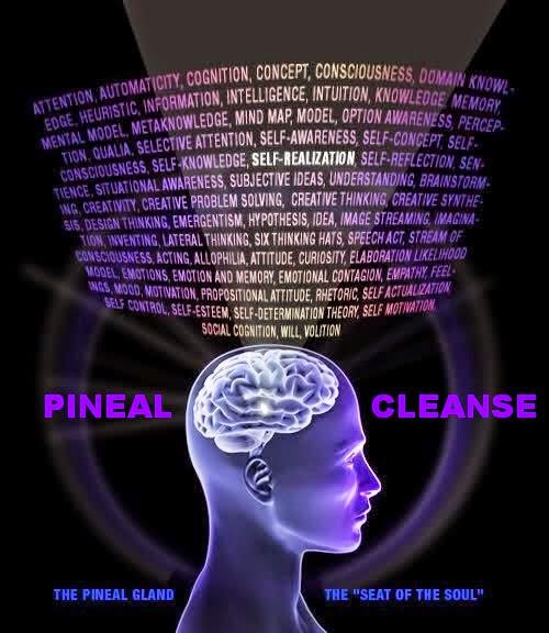 Pineal Cleanse - Decalcify the Pineal Gland