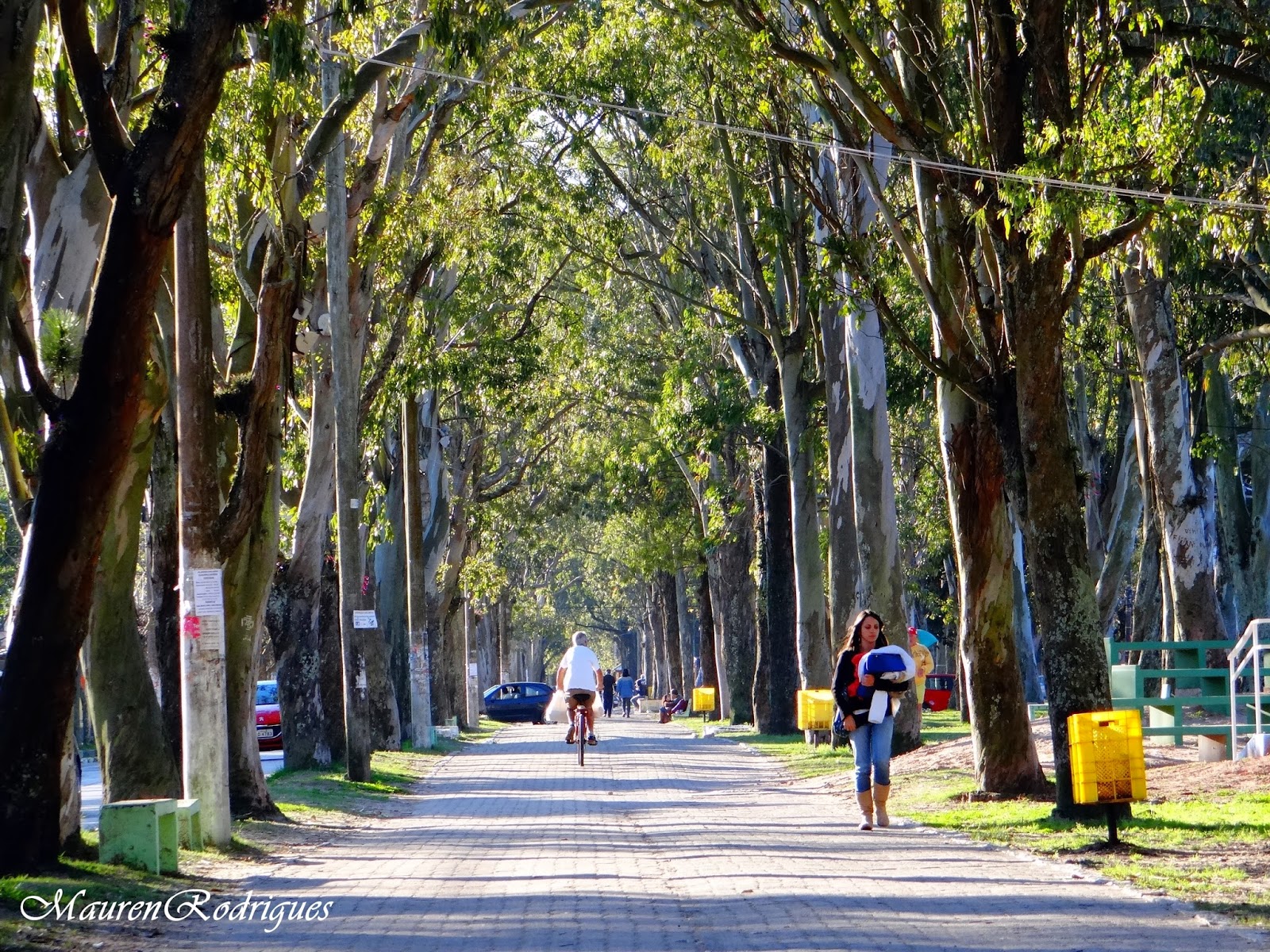 Praia do Cassino - Aluguel de Casas, Praia do Cassino: Avenida Rio ...