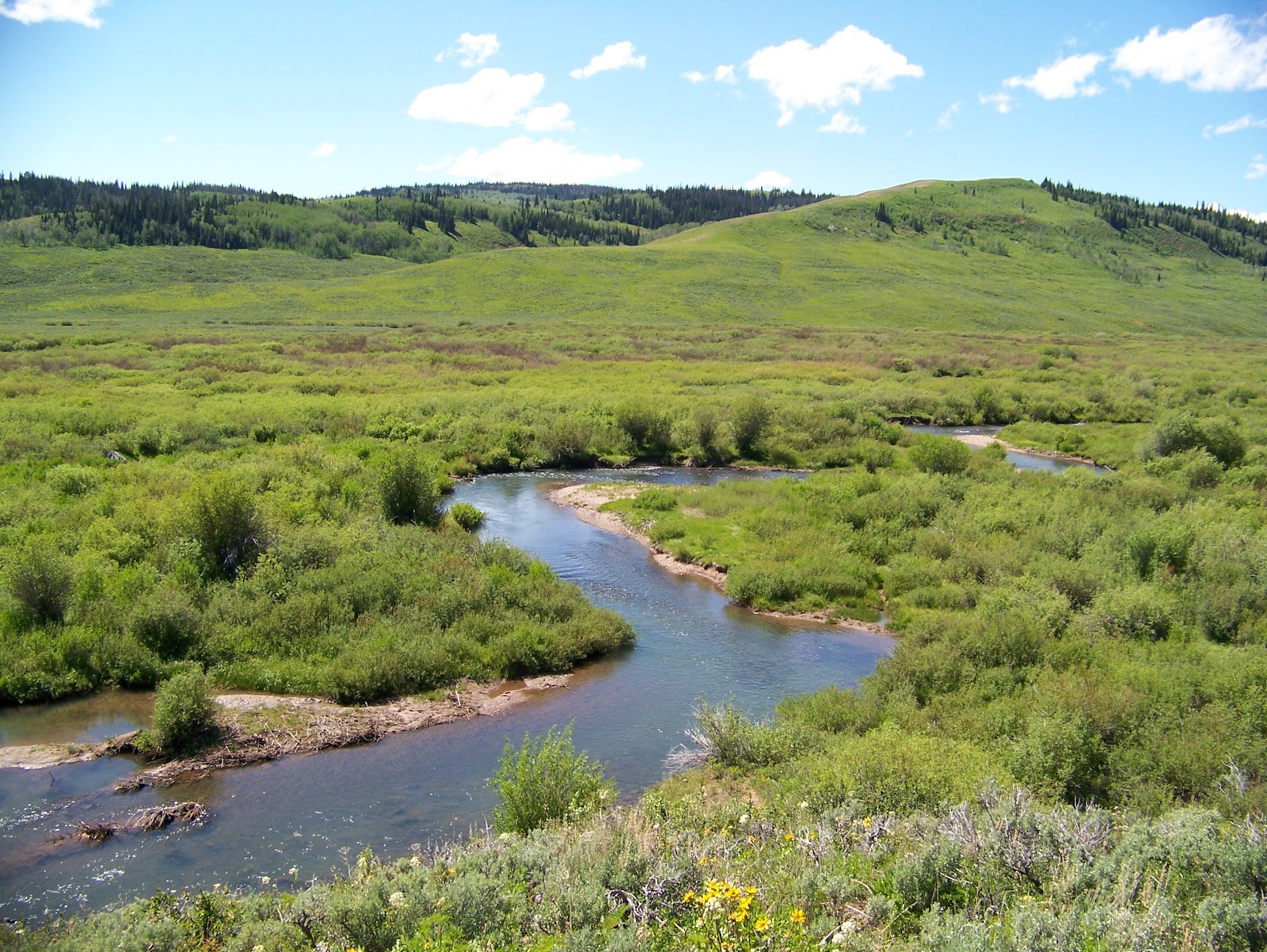 Fly Fishing the West with Howard: Fly Fishing the Ham's Fork - Day 1 ...