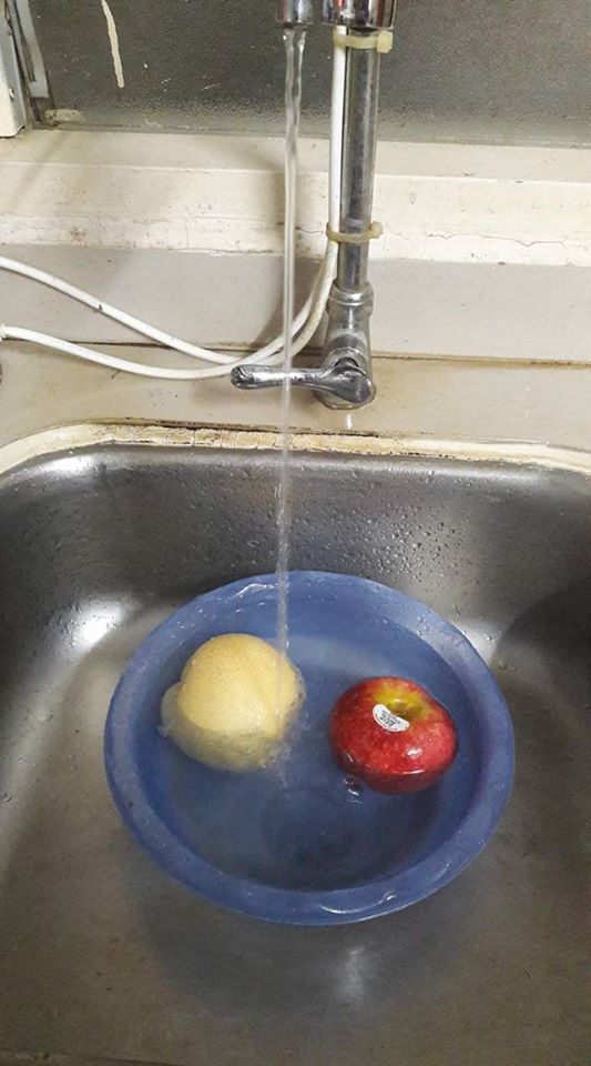 My Blogs: Diamond Coral Water Filter - Product Review