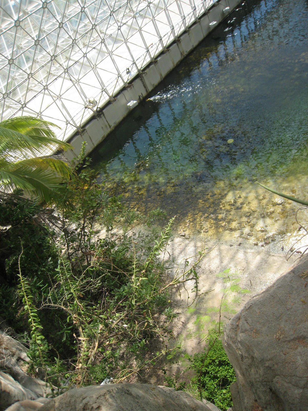 Out & About: Biosphere 2