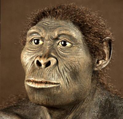 Ekabir: HZ. ADEM İLE İLK İNSAN OLAN ADEM AYNI DEĞİL