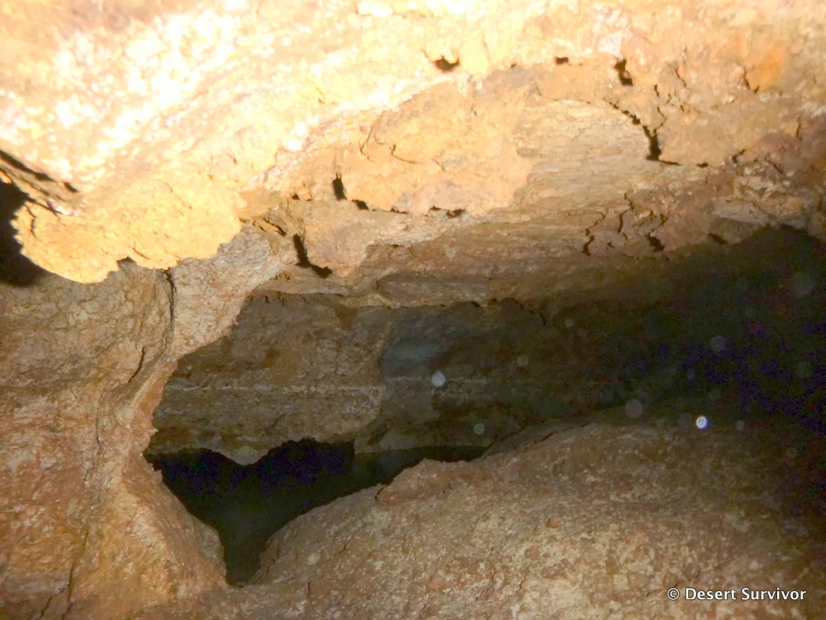 Desert Survivor: A Muddy Little Cave