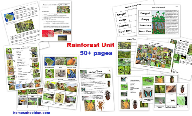 The Homeschool Den: Rain Forest Plant Cards