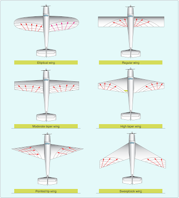 Effect of Wing Planform - Aerodynamics of Flight