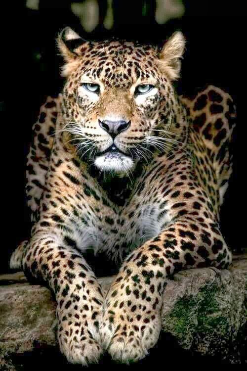 Absolutely Beautiful ~ Photos Hub