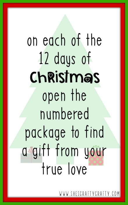 She's Crafty: Twelve Days of Christmas gift idea that kids will love