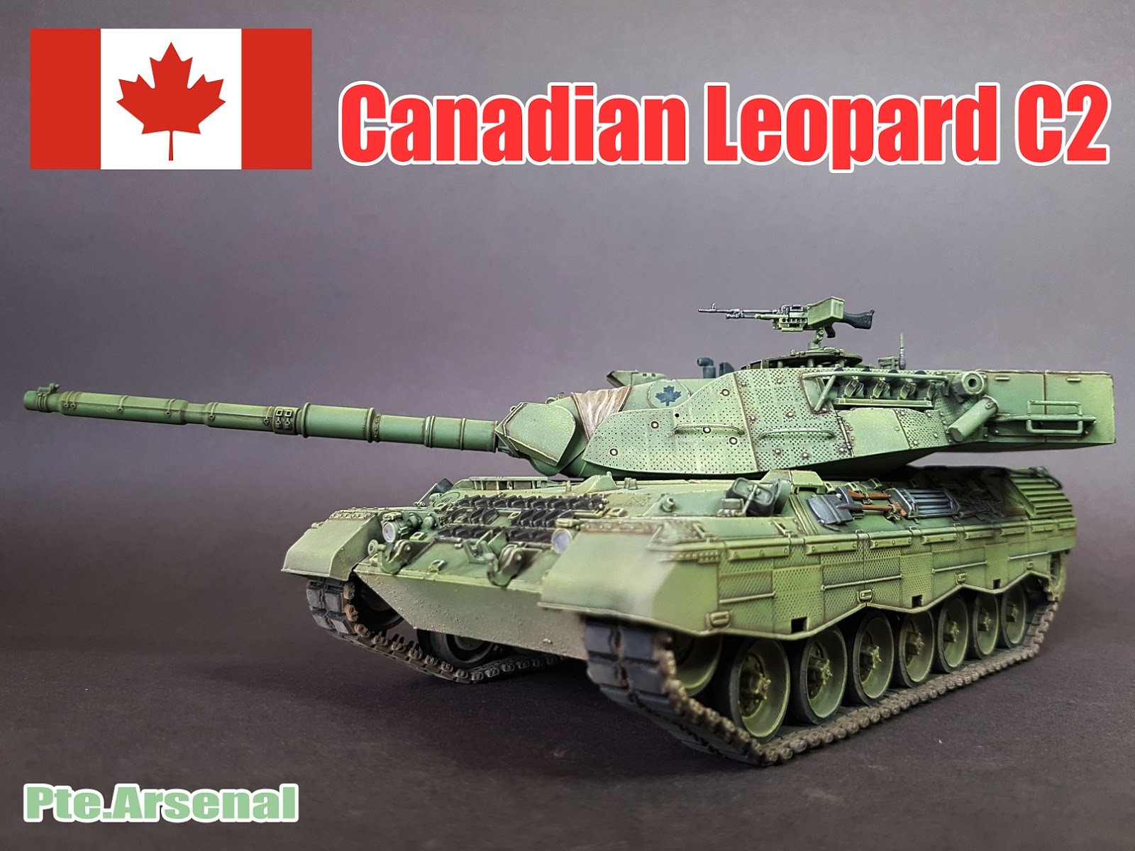 ptearsenal: Canadian Leopard C2